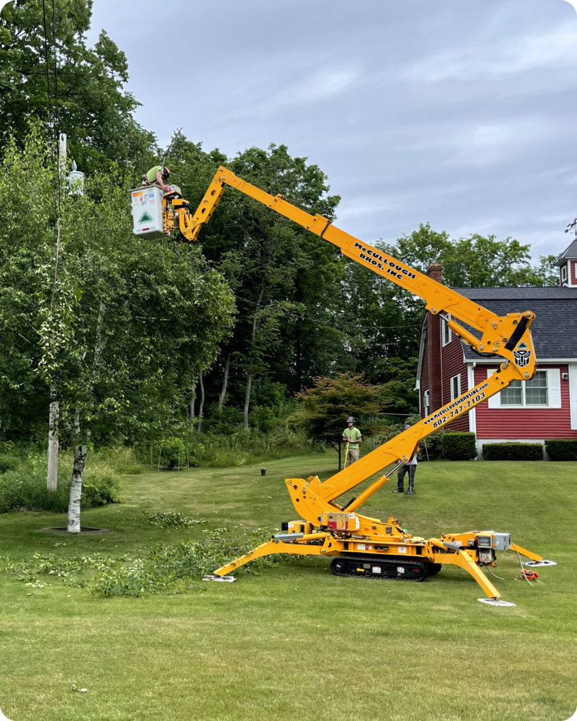 Tree Pruning, Mowing Trimming & Shredding | Rutland VT